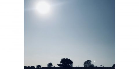 english folk duo | megson music